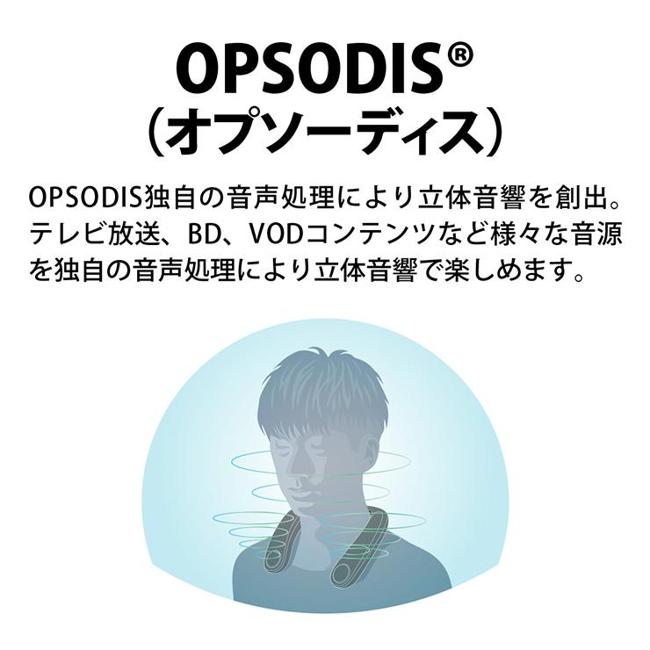 アサヒデンキ公式通販サイト / AN-SX8